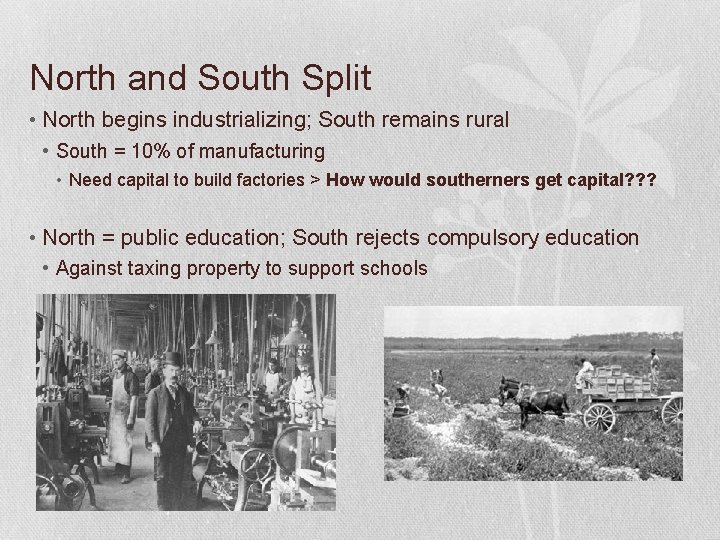 Slavery and the Antebellum South You should be