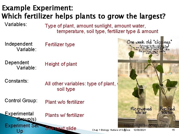 Biology Chapter 1 Section 1 The Nature of