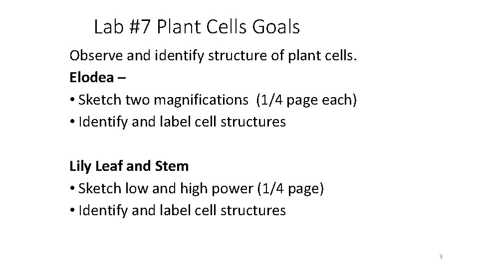 PLANT LAB SLIDES Lab 7 Plant Cells Purpose