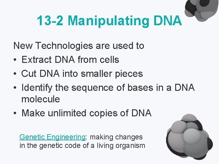 BIOTECHNOLOGY 01 DNA FINGERPRINTING GEL ELECTROPHORESIS Micropipette ...