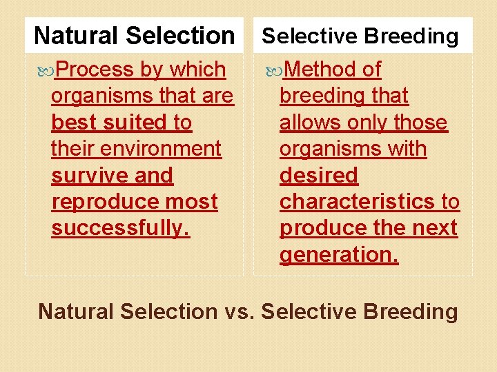 Natural Selection vs Selective Breeding Environmental and Human