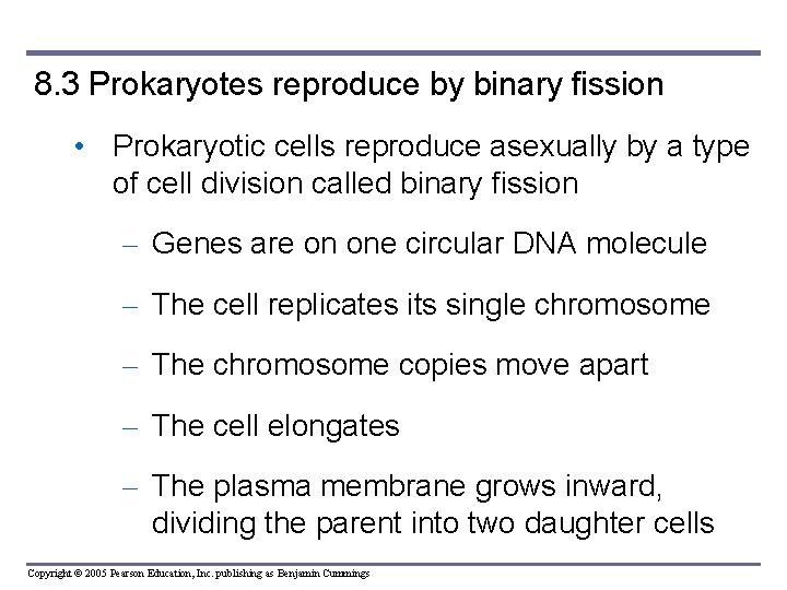 CONNECTIONS BETWEEN CELL DIVISION AND REPRODUCTION 8 1