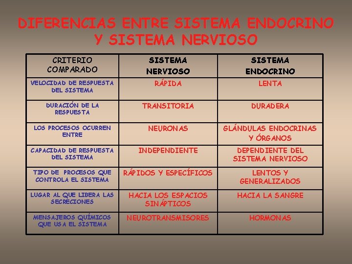 EL SISTEMA ENDOCRINO HUMANO Profesora Ingeborg Hauser H
