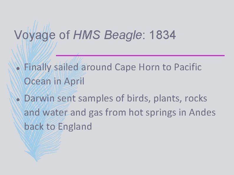 Charles Darwin And the voyage of HMS Beagle