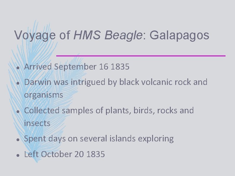 Charles Darwin And the voyage of HMS Beagle