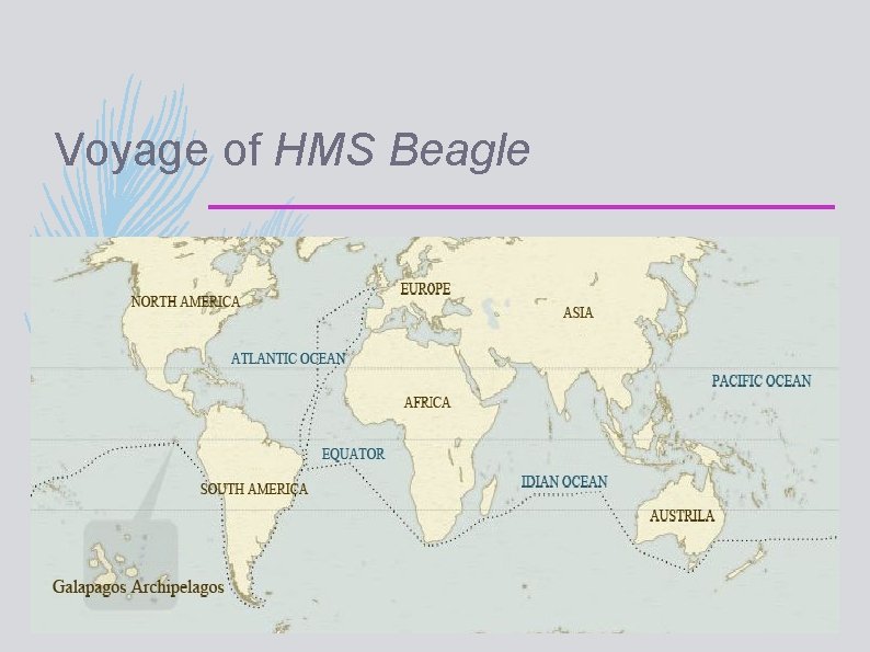 Charles Darwin And the voyage of HMS Beagle
