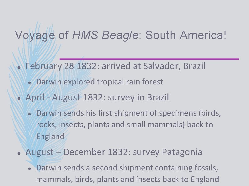 Charles Darwin And the voyage of HMS Beagle