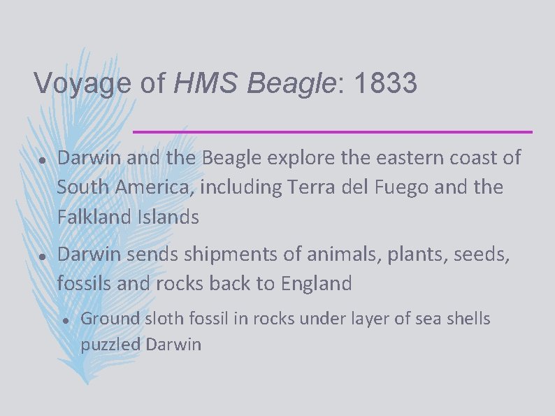 Charles Darwin And the voyage of HMS Beagle
