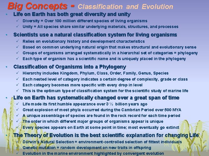 Marine Life Classification and Evolution Big Concepts Classification