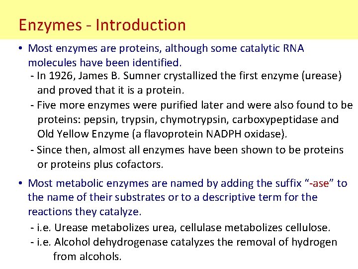 STB 1083 BIOCHEMISTRY Lecture 6 INTRODUCTION TO ENZYMES