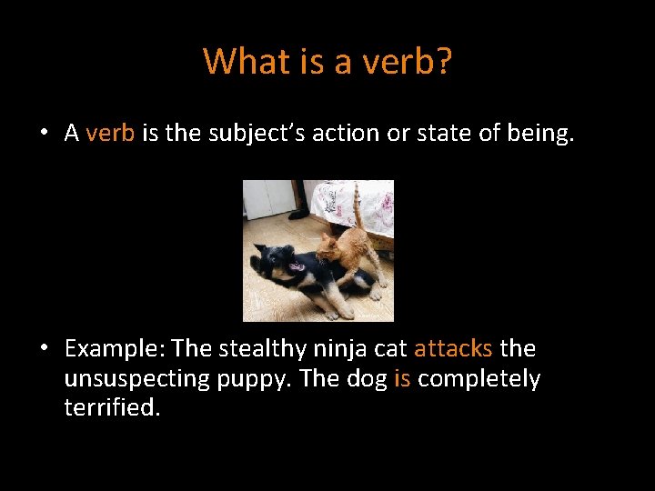 The Wonderful World of Verbs Lights camera ACTION