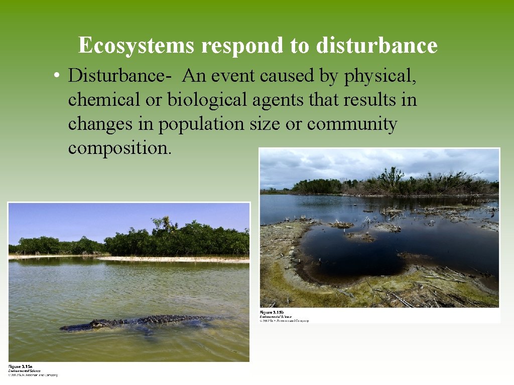 Chapter 3 Ecosystem Ecology Part 2 Bio Geo