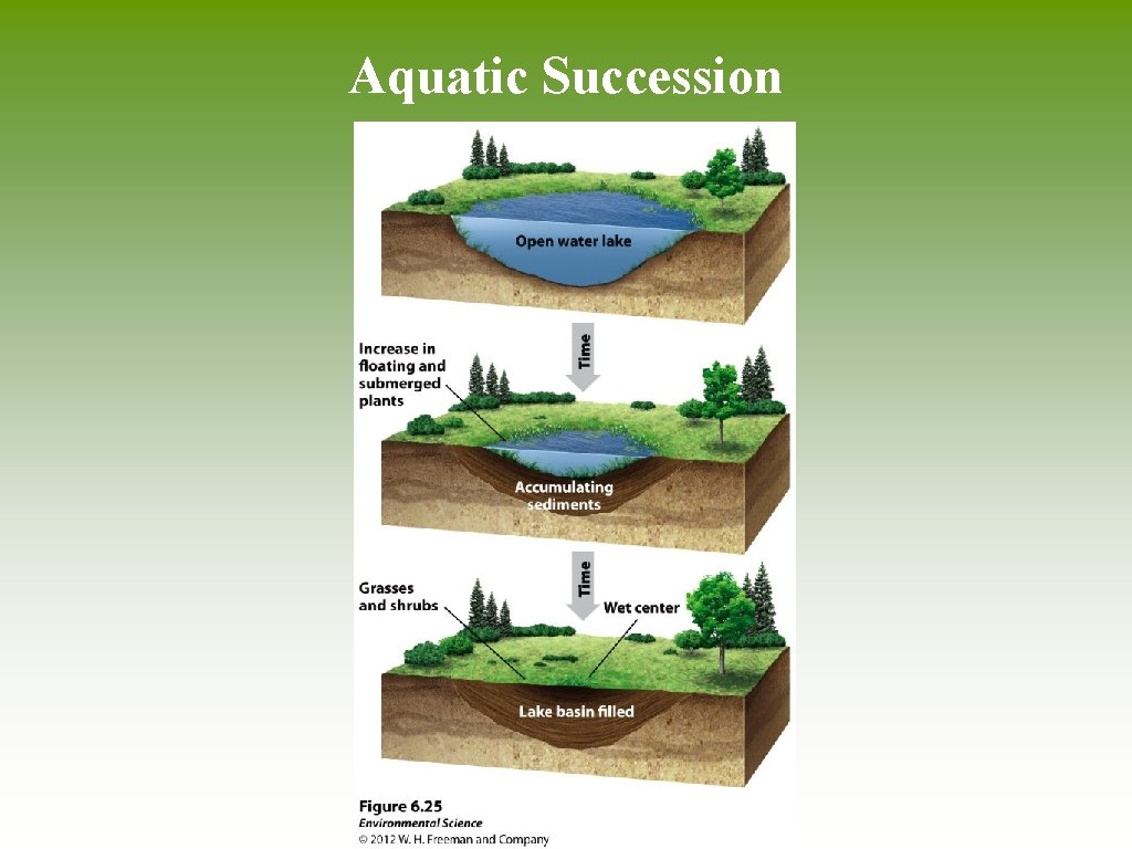 Chapter 3 Ecosystem Ecology Part 2 Bio Geo