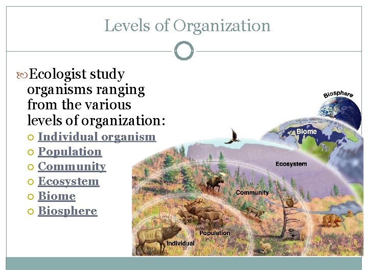 Bellwork 915 Agenda 915 Ecology How do science