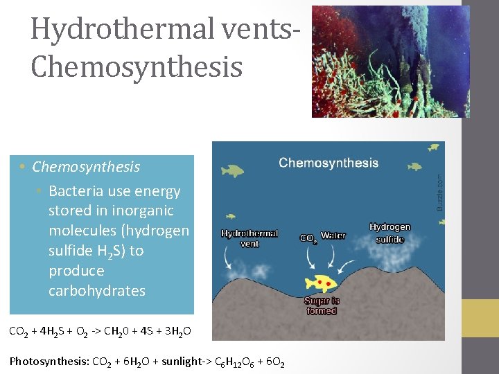 Geothermal Tidal Energy Renewable energy sources that do