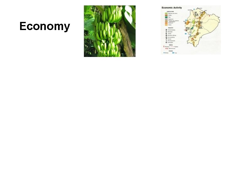 Ecuador By Anna Lowenstein and Chloe Sciore Ecuador