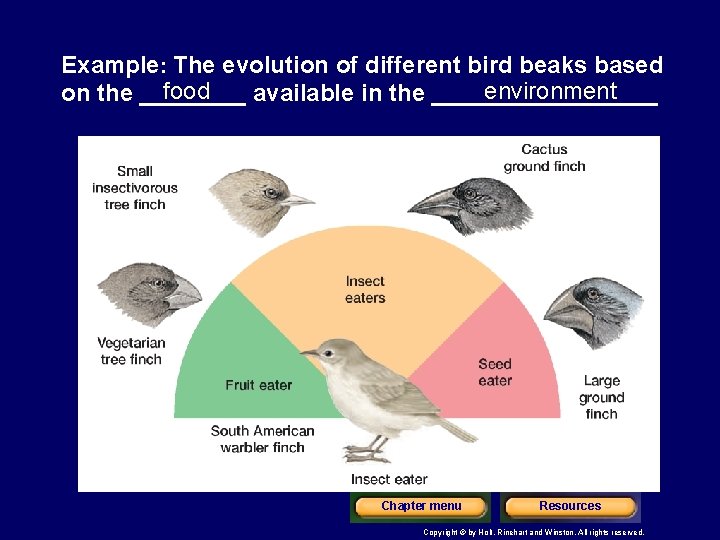 Chapter 13 Theory of Evolution Table of Contents