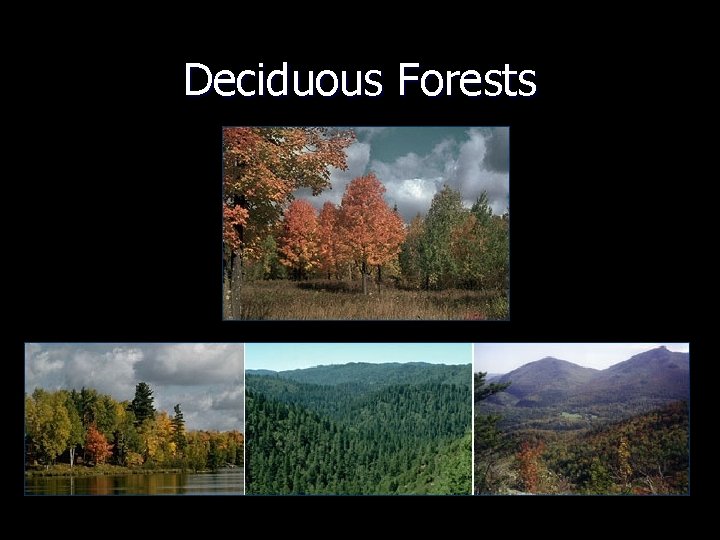 Exploring Earths Biomes Biomes Divisions in the environment