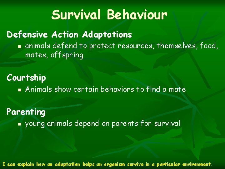 Adaptations Objectives n Analyze structural behavioral and physiological