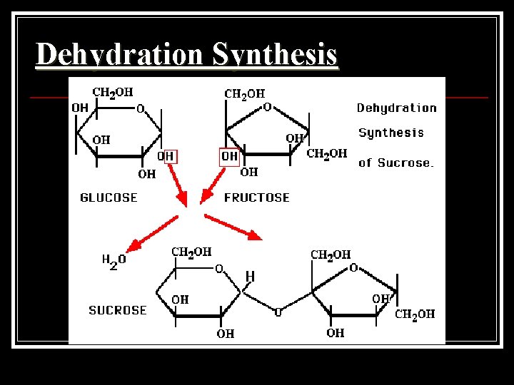 Carbohydrates Biochemistry Organic Molecules I Introduction A Organic