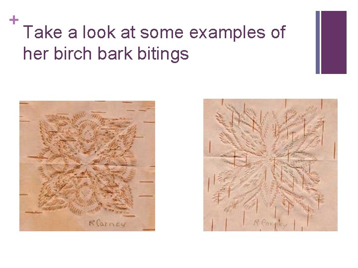 Rosella Carney Birch Bark Biting Artist Aboriginal Perspectives
