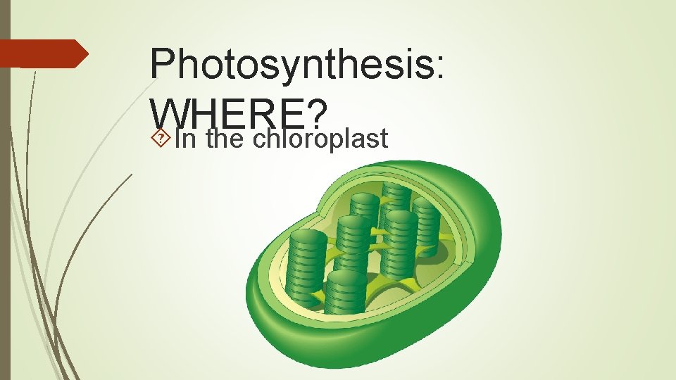 Cellular Respiration Photosynthesis Foldable Take 3 sheets of