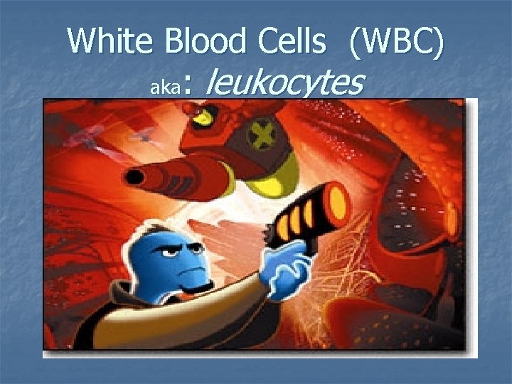 Review tissue type n general functions of blood