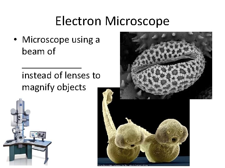 Unit 2 Vocabulary Cell The basic unit of