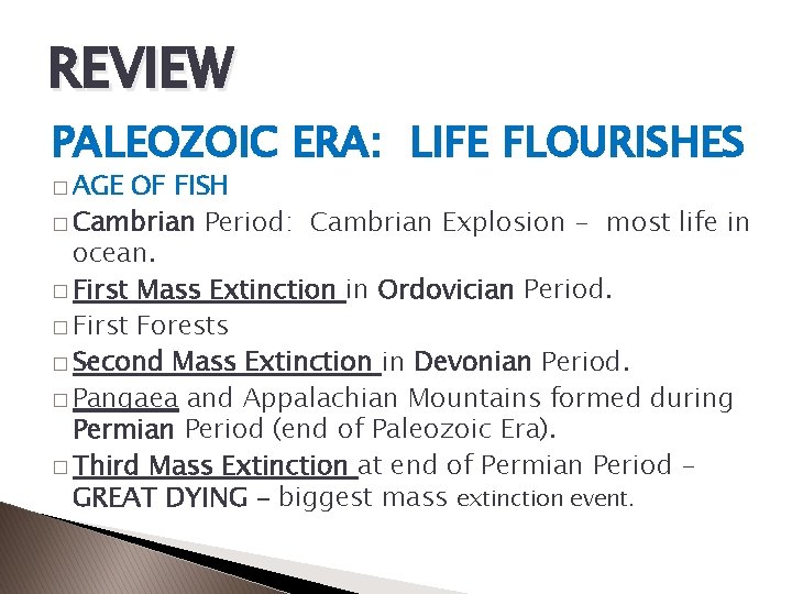 DO NOW Pick up review Turn in vocabulary