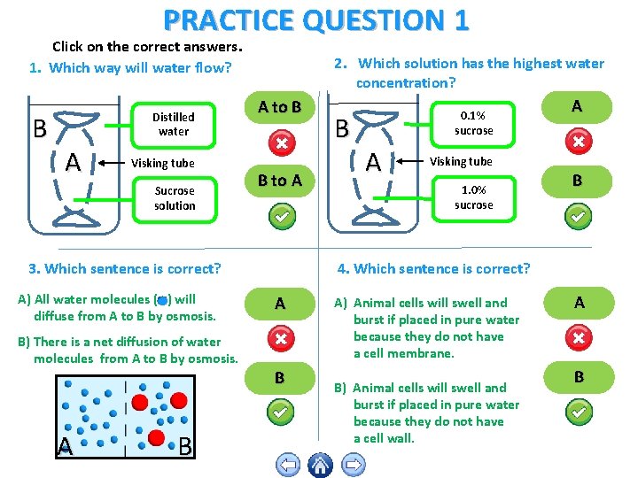 DIFFUSION OSMOSIS and ACTIVE TRANSPORT BUTTONS Click here