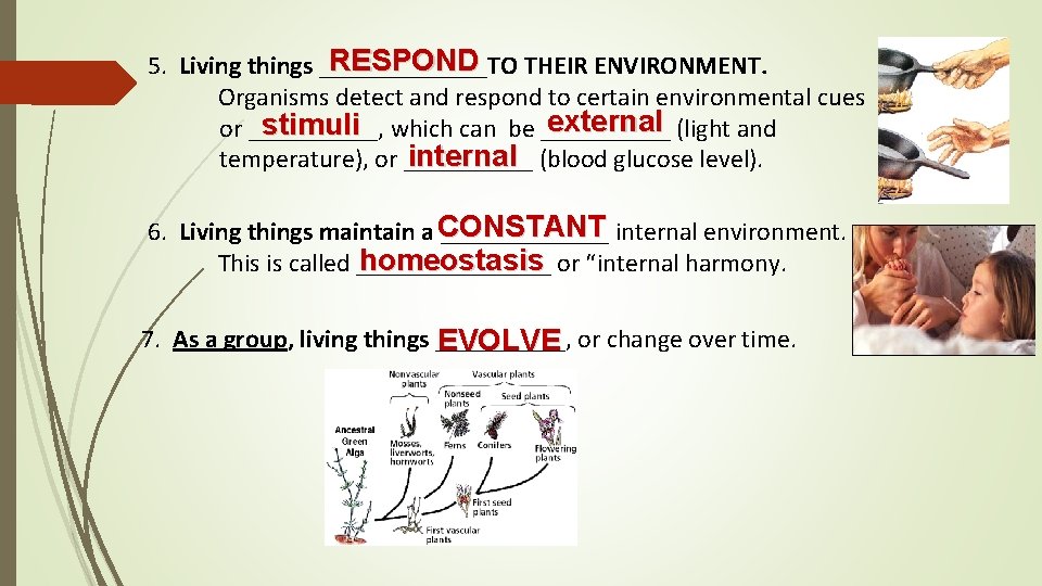 Intro to Biology Characteristics of Life Intro to