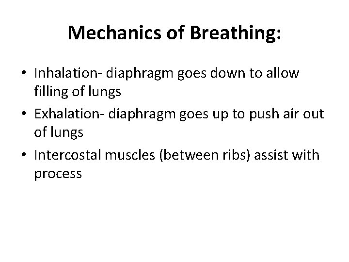 The Respiratory System 9 Biology Vocabulary Breathing Gas