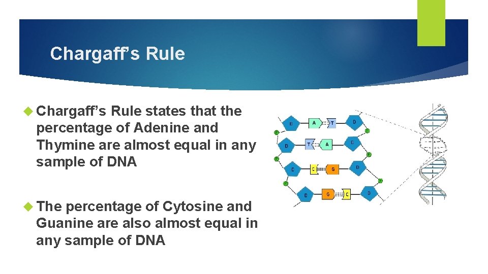 Unit 3 Genetics Part 1 Genetic Information BOOK