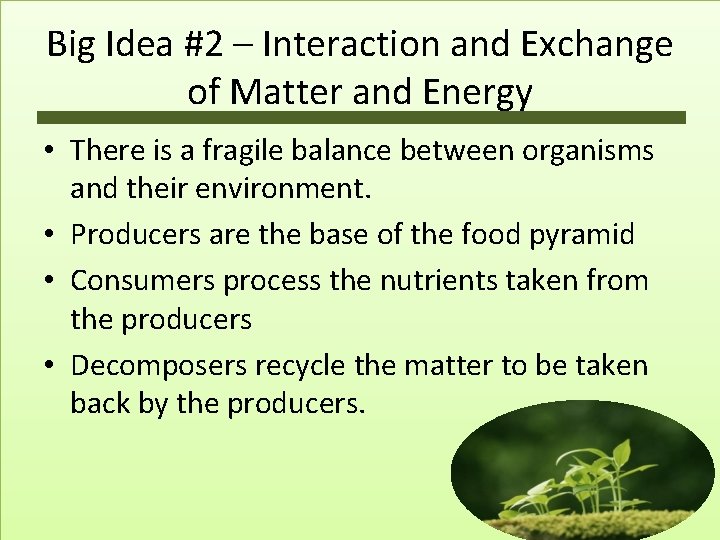 Introduction to Biology Big Ideas in Biology Big