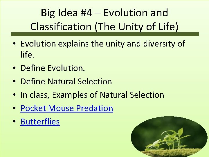 Introduction to Biology Big Ideas in Biology Big