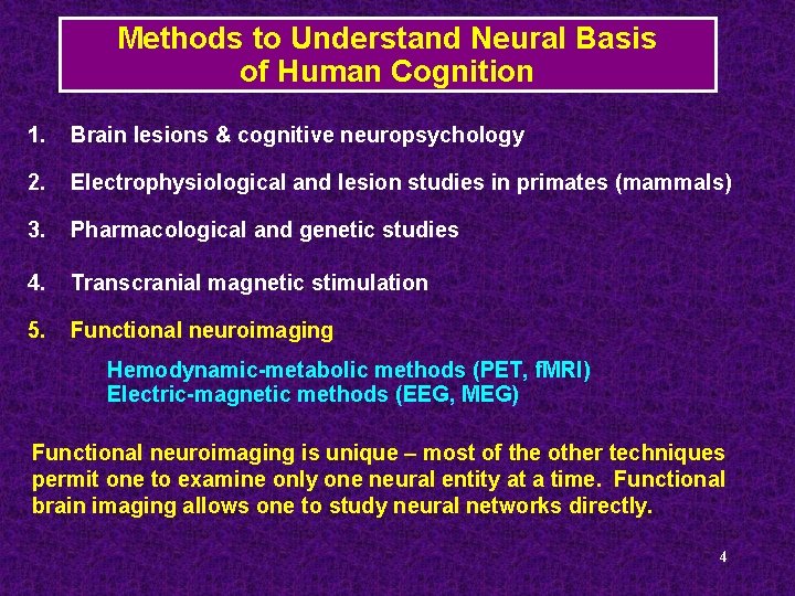 Modeling Large Scale Neural Systems Barry Horwitz Brain