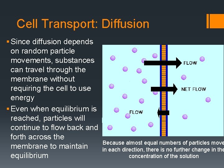 Cell Transport Cell Membrane Recall that the cell