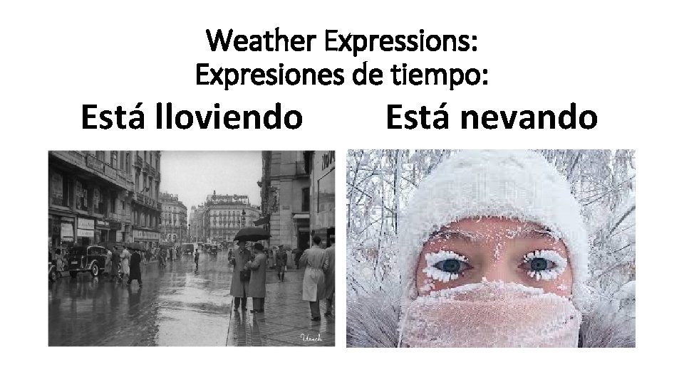 Objectives 1 Seasons of the year 2 Interesting