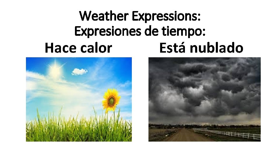 Objectives 1 Seasons of the year 2 Interesting