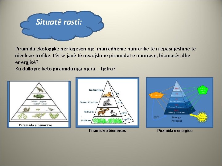GJIMNAZI VASIL KAMAMI ELBASAN LENDA BIOLOGJI KLASA XI