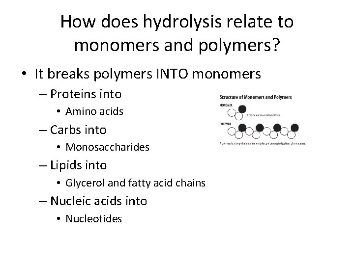 Review of 2 2 3 Biochemistry What IS