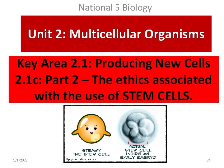 National 5 Biology Unit 2 Multicellular Organisms Key