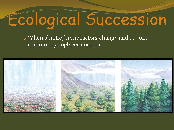 Ecological Succession Remember a community more than 1