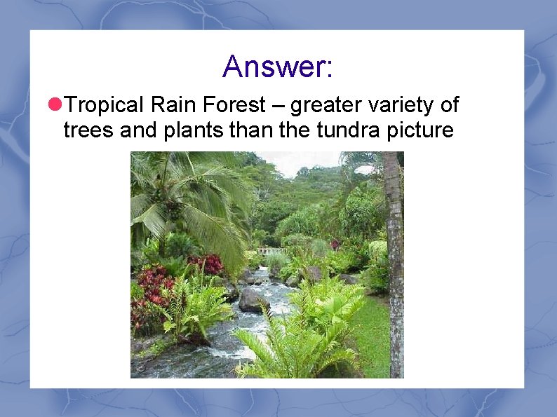 Biodiversity MT Evolution Break break down breaking it