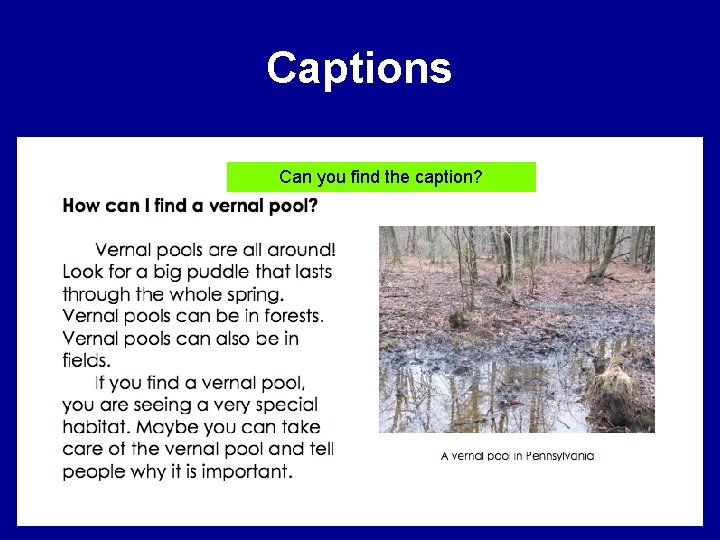 Understanding Text Features Table Of Contents Headings Photographs Understanding Text Features Table Of Contents Headings Photographs
