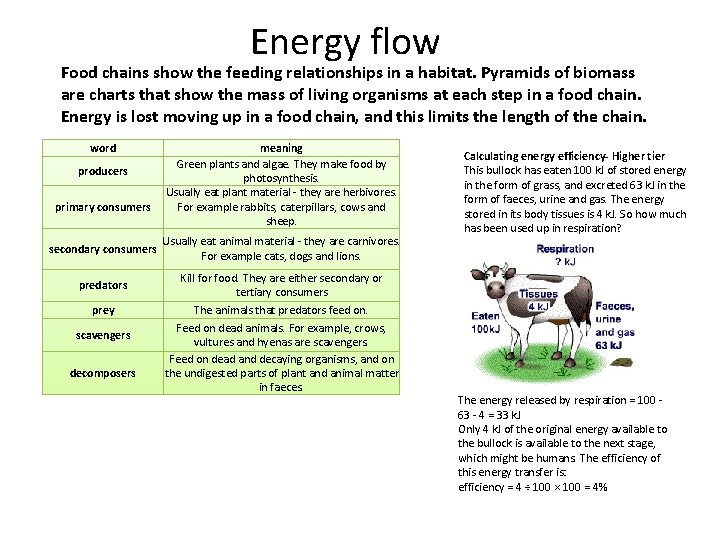 B 2 understanding organisms What you need to