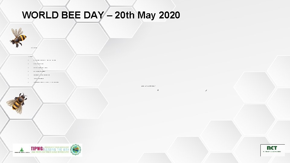 WORLD BEE DAY 20 th May 2020 Whats