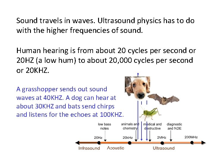Ultrasound Imaging Basics Why Ultrasound Over half a