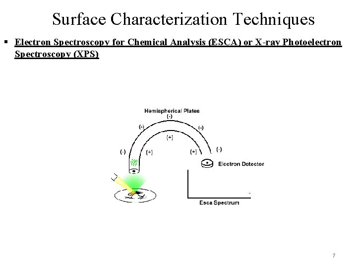 Material Characterization Techniques Biofilm Devicerelated Infections and Sterilization