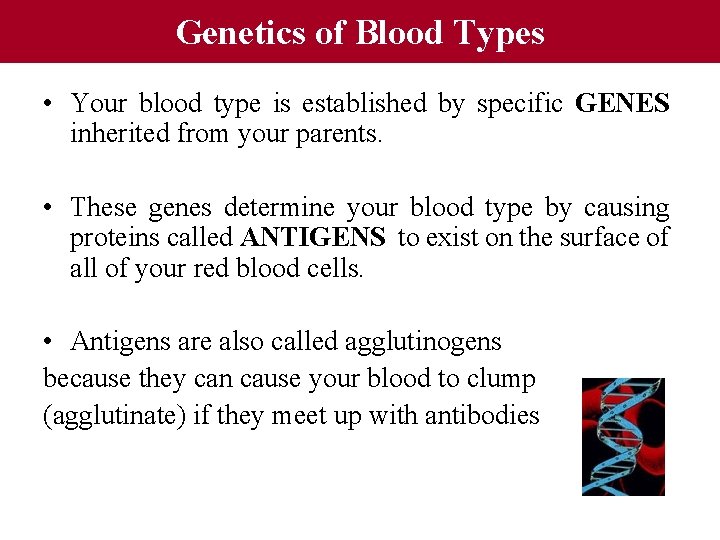 Genetics of Blood Types Your blood type is
